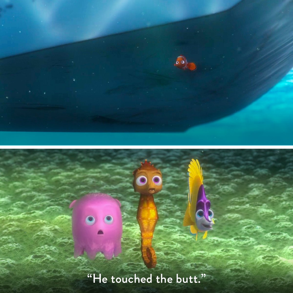 Nemo Touching The Boat Meme