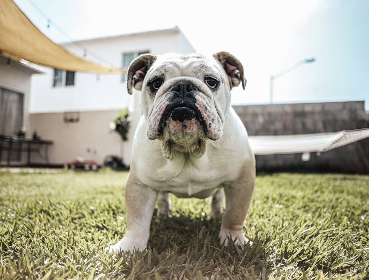 Baris Kabuloglu (@BarisKabuloglu) | Twitter