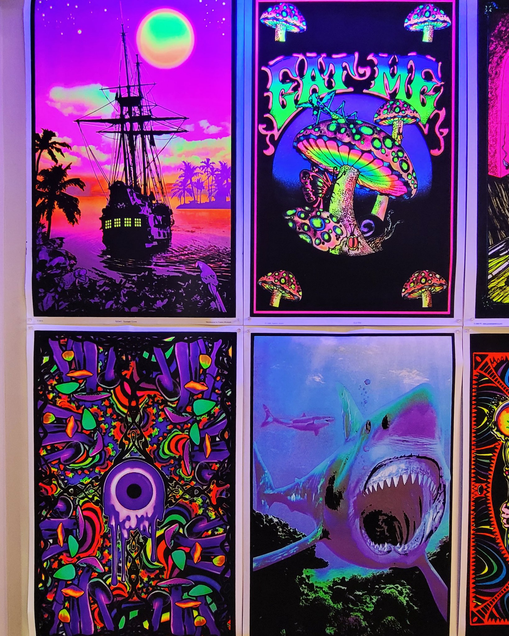 Mushroom Black Light Posters