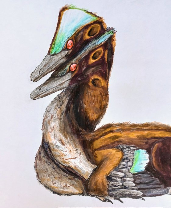 🪶Archesuchus 🏳️‍🌈 (@_Archesuchus_) さんのイラスト・マンガ作品まとめ (27 件) - Twoucan