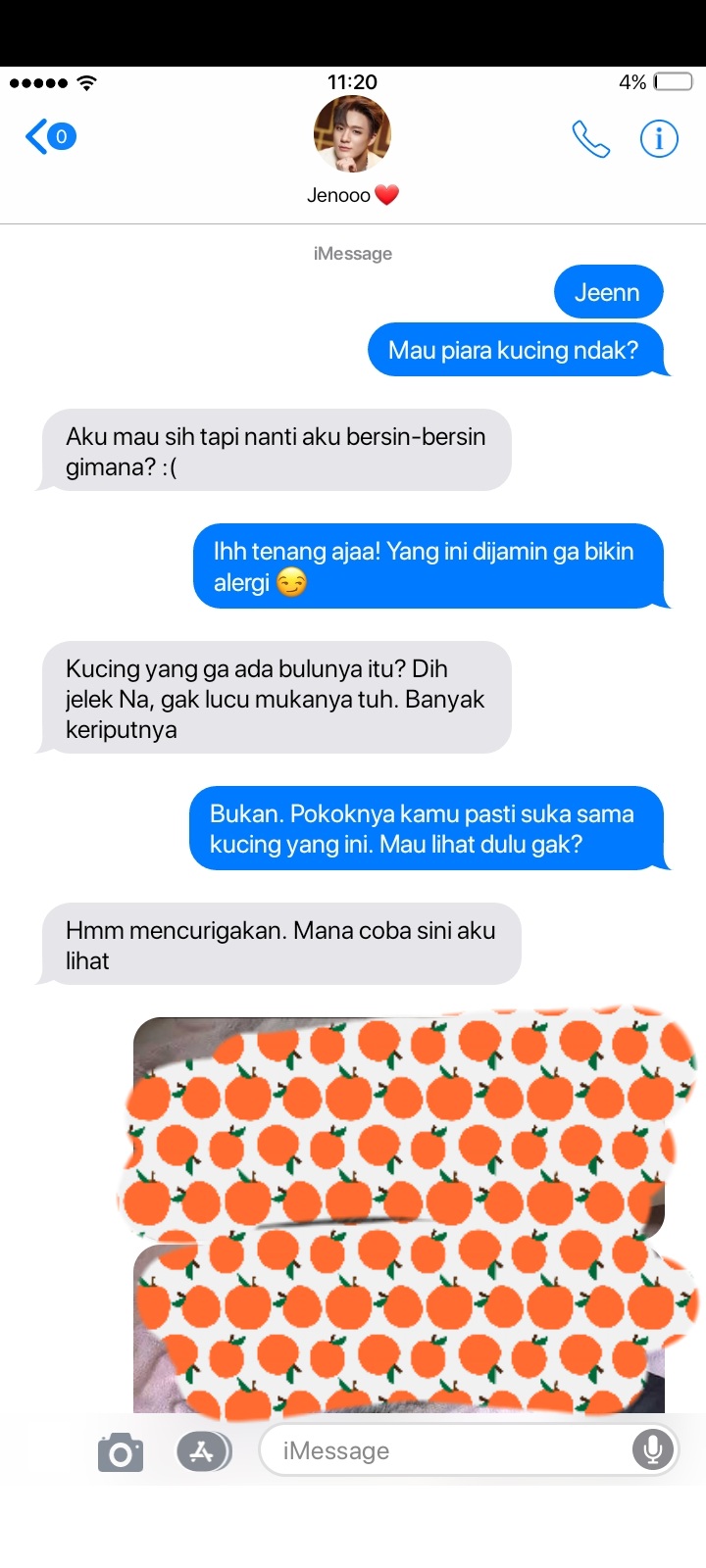 KITTY on Twitter: "kucing https://t.co/UYFAtUE5iC" / Twitter