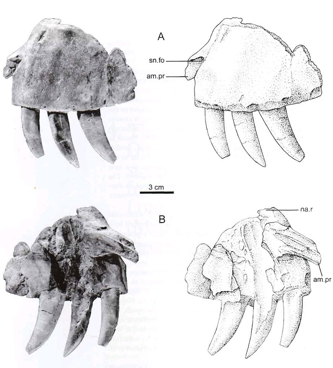 Thread by @VincentReneleau on Thread Reader App – Thread Reader App