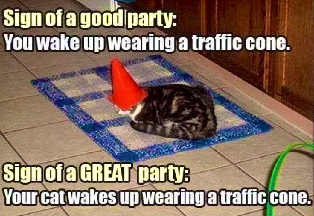 Party Cat Meme