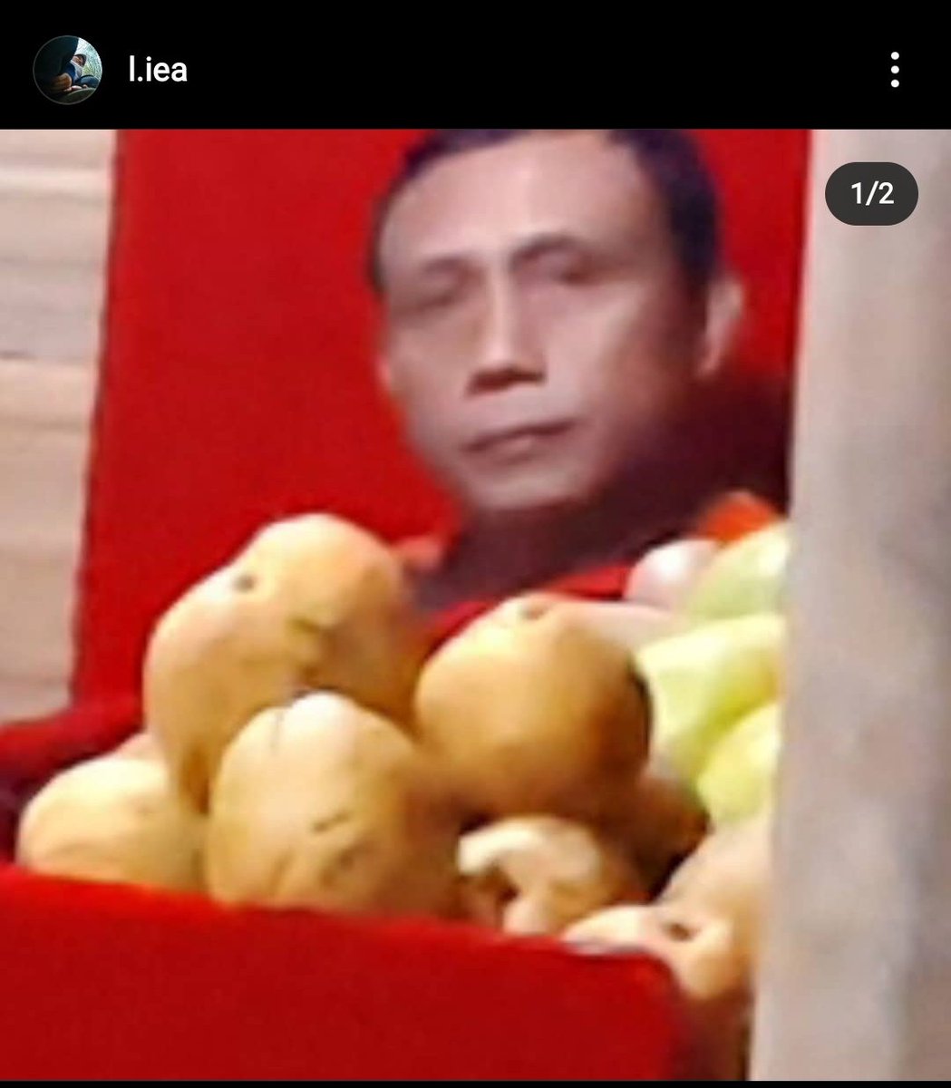 🥑 (@apokadel) | Twitter