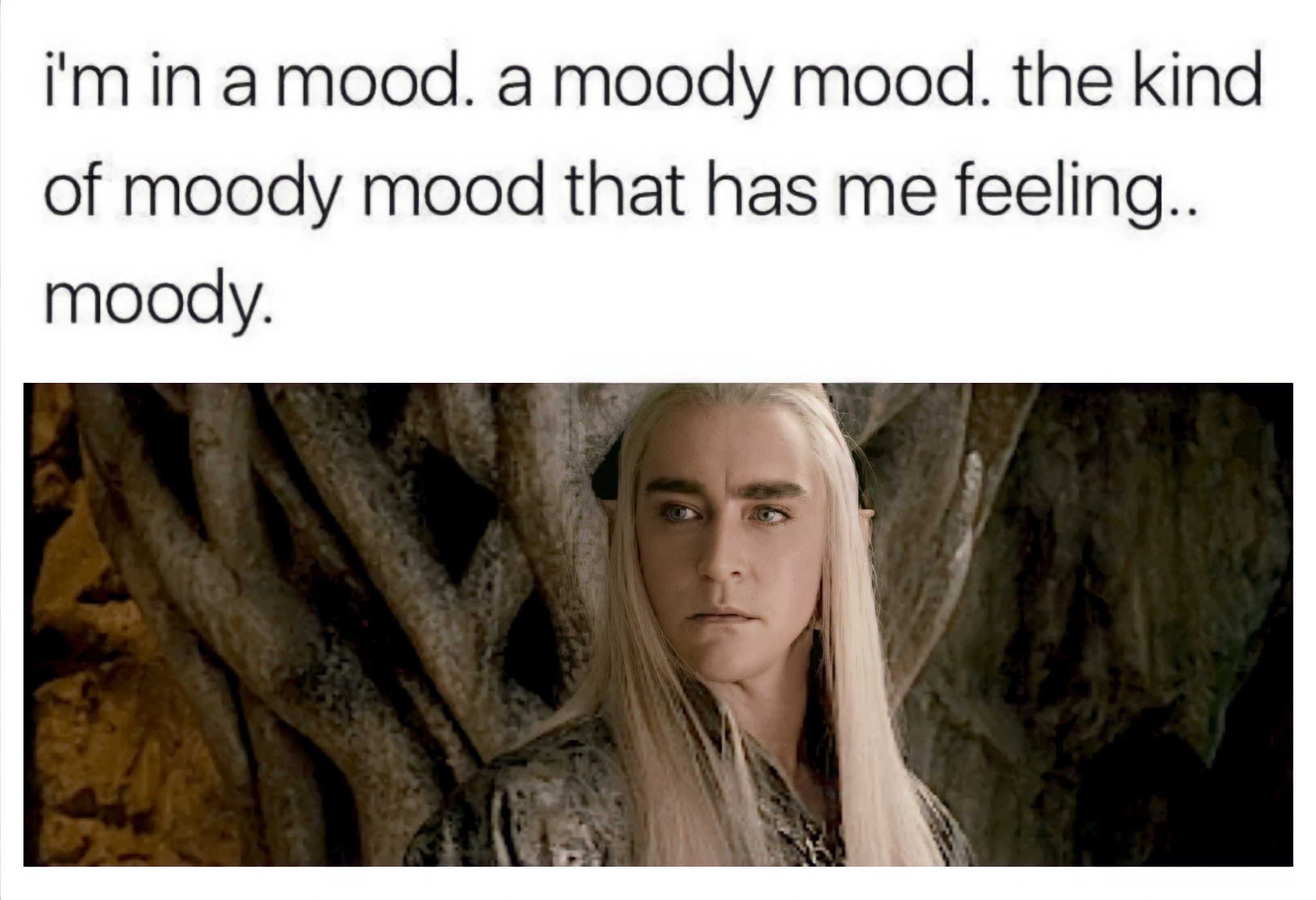 Thranduil Meme