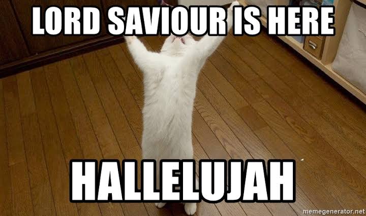 Praise The Lord Cat Meme