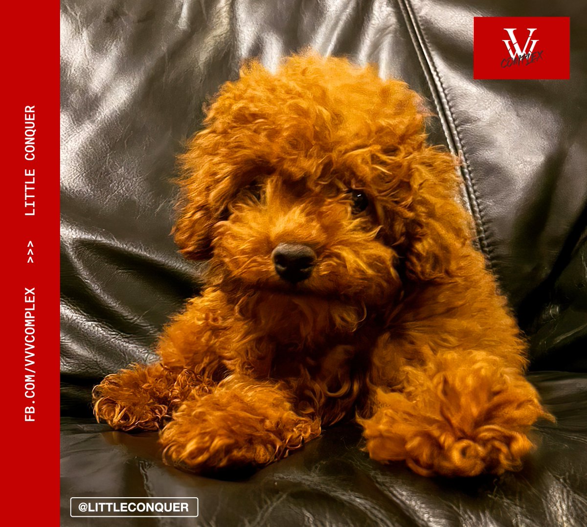 VVV Complex (@vvv_complex) | Twitter