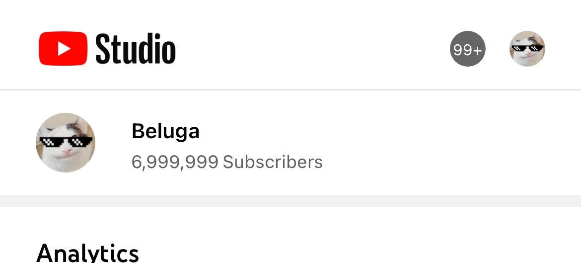 Beluga on Twitter: "What the- https://t.co/GrwbSB0Wvm" / Twitter
