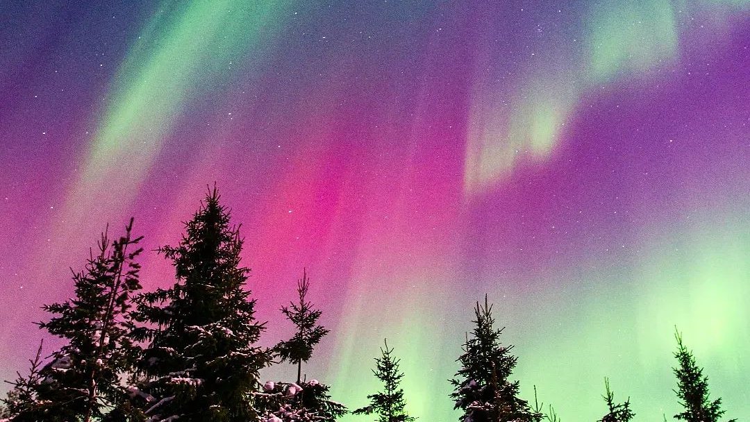 Pink And Purple Northern Lights