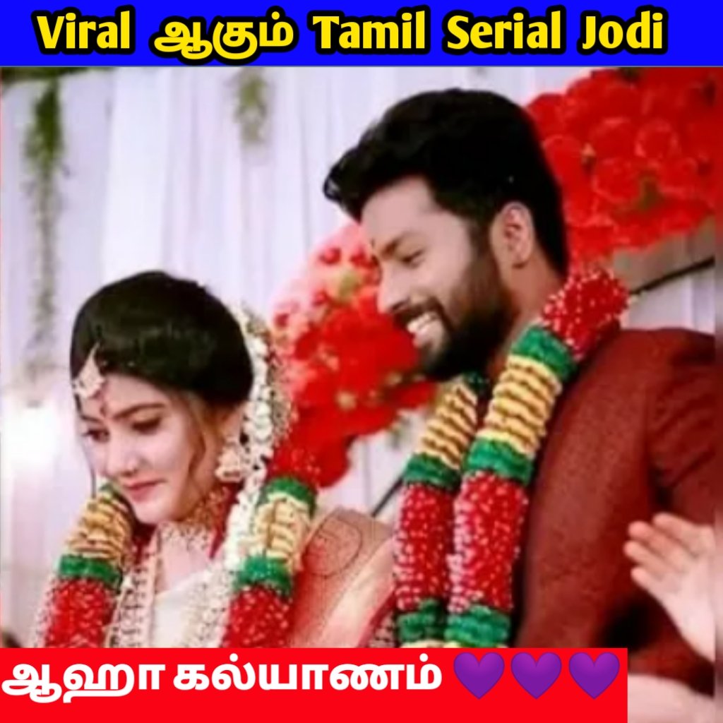 Tamil Serial Actress Wedding Photos