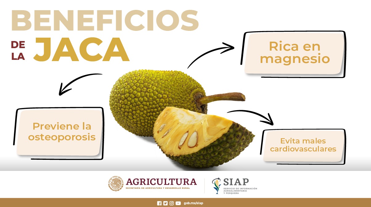 Fruta Jaca