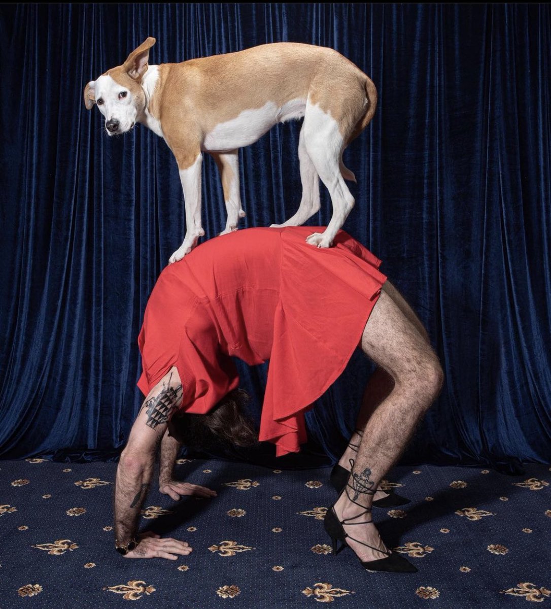 natalia goryacheva (@goryachiy_pirog) | Twitter