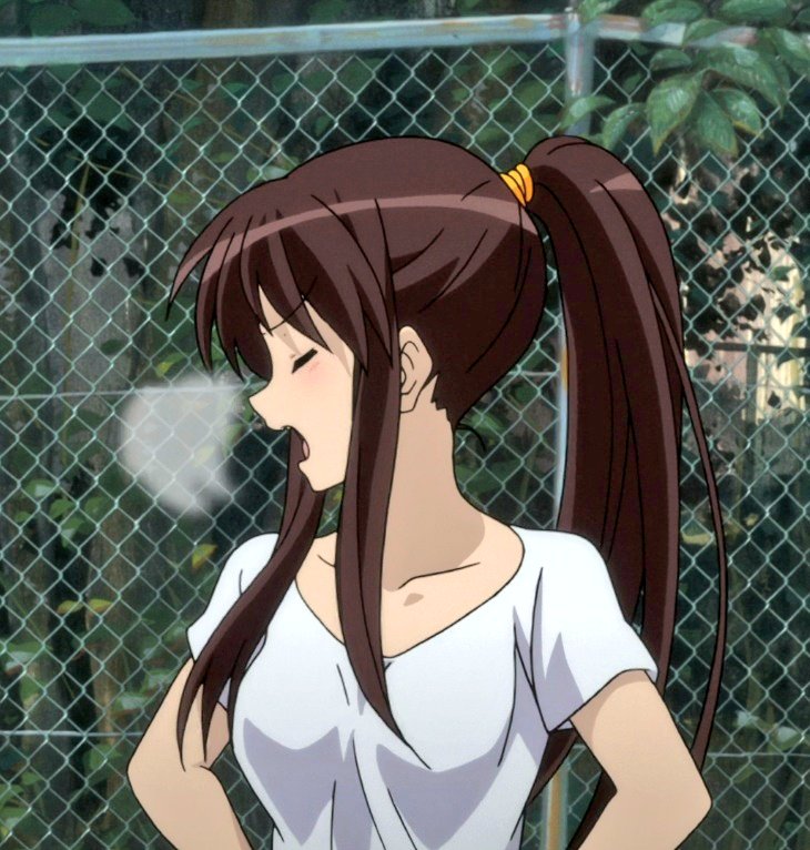 Haruhi Suzumiya Ponytail