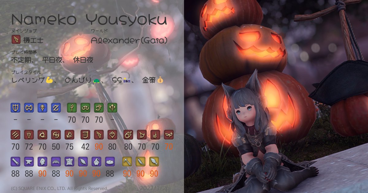 なめこ🌱Alexander (@Yousyoku_Nameko) | Twitter