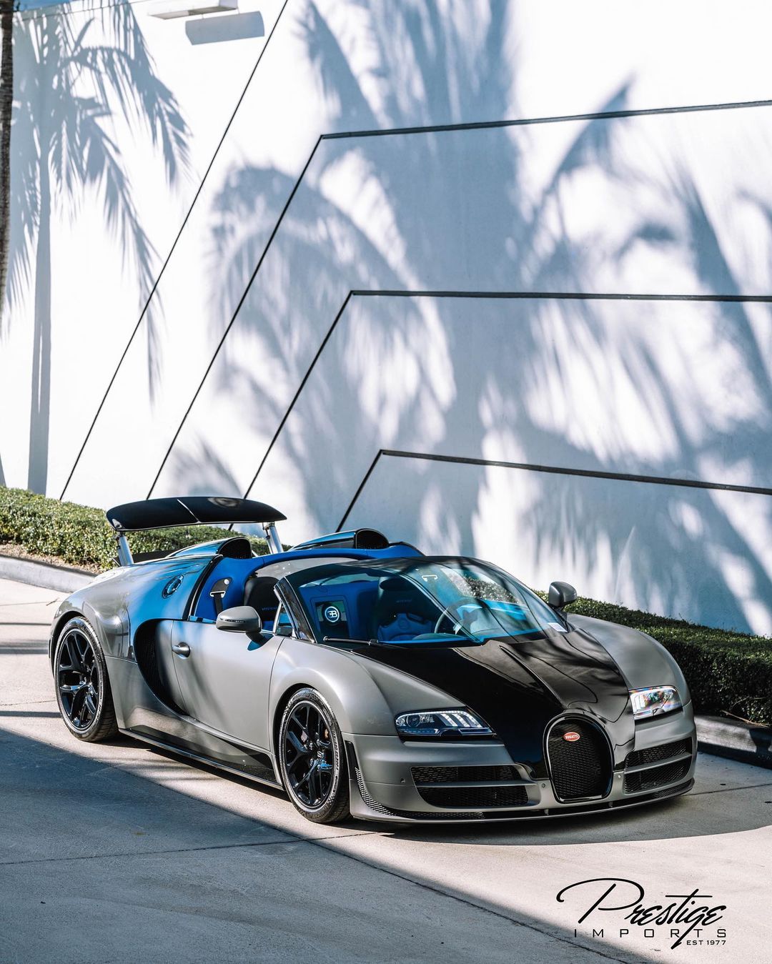 Bugatti Veyron Grey