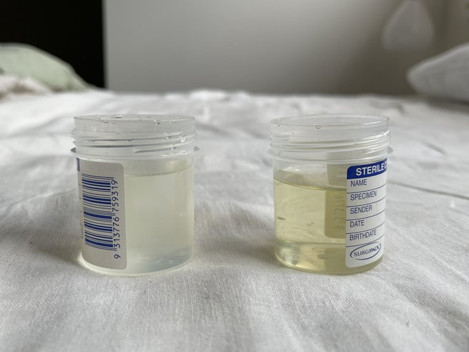 TW Pornstars - Dainty Wilder. Pictures and videos from Twitter. Page 10