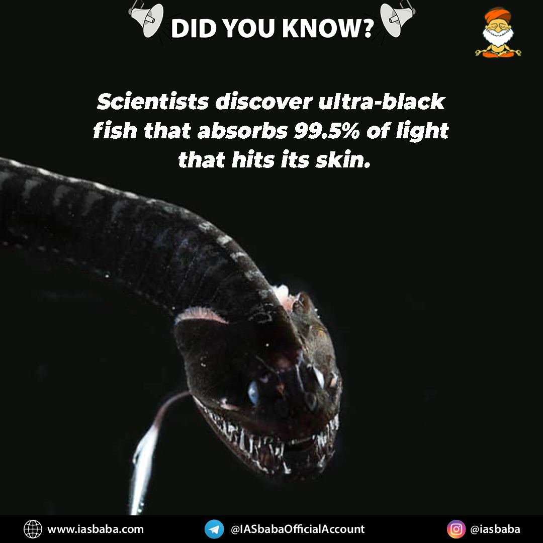 One of the identified species is an ultra-black ridgehead that uses its ...