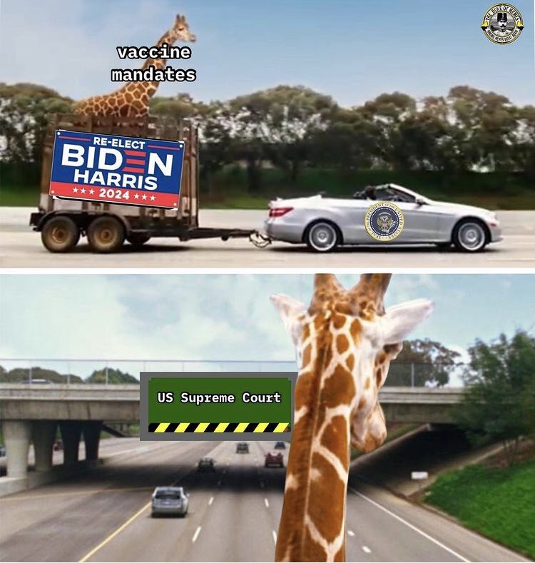 Hangover 3 Giraffe Meme