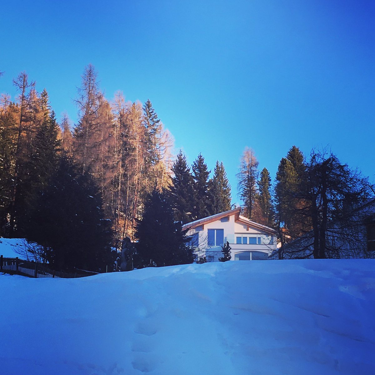 Moshe Starik 🌒 (@StarikMoshe) | Twitter