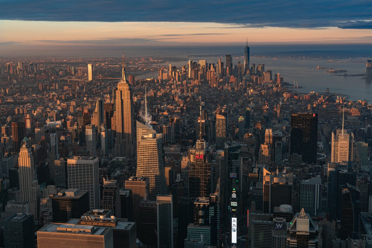 Joe_moco (@joe_moco) | Twitter