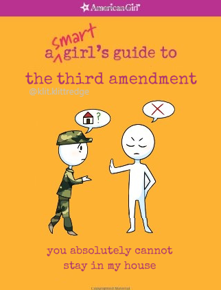 3rd Amendment Poster