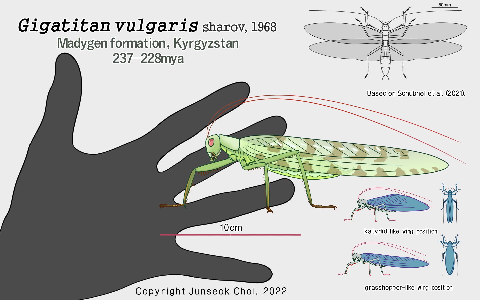 Insects Animals 1920x1200 Download Wallpaper 1920x1200 Butterfly,