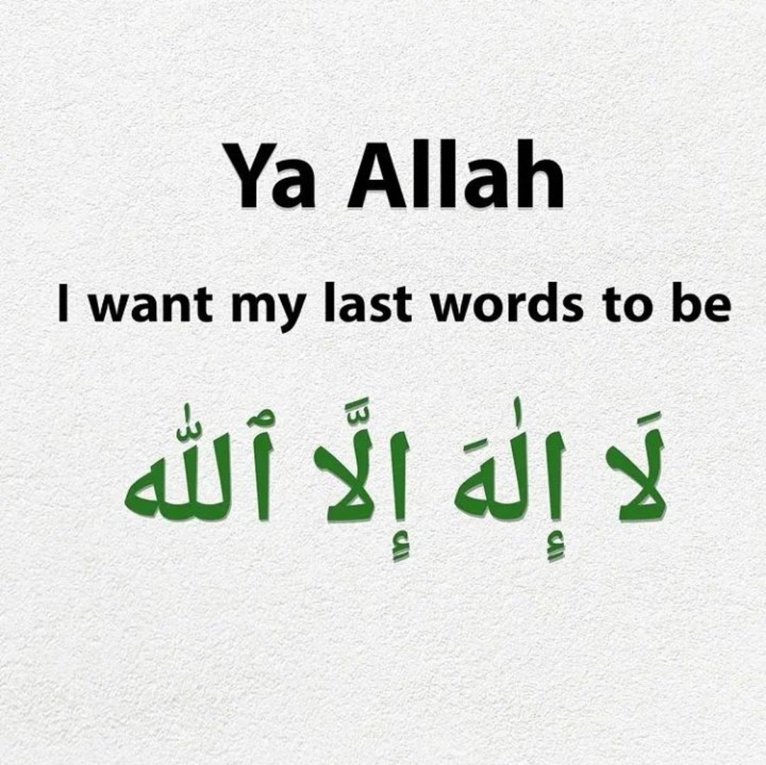 Alimi sheriff (@alimisheriff1) | Twitter