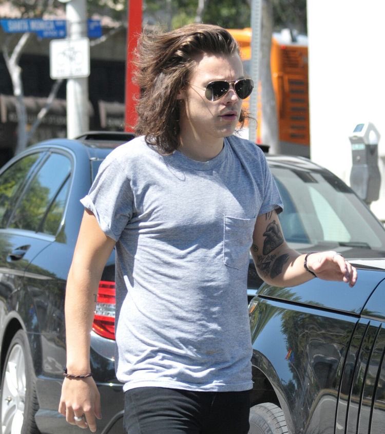 Harry Styles Weight Gain