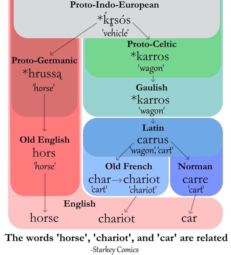 Proto Indo European Word List