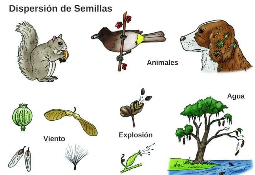 Thread by @ubanello on Thread Reader App – Thread Reader App