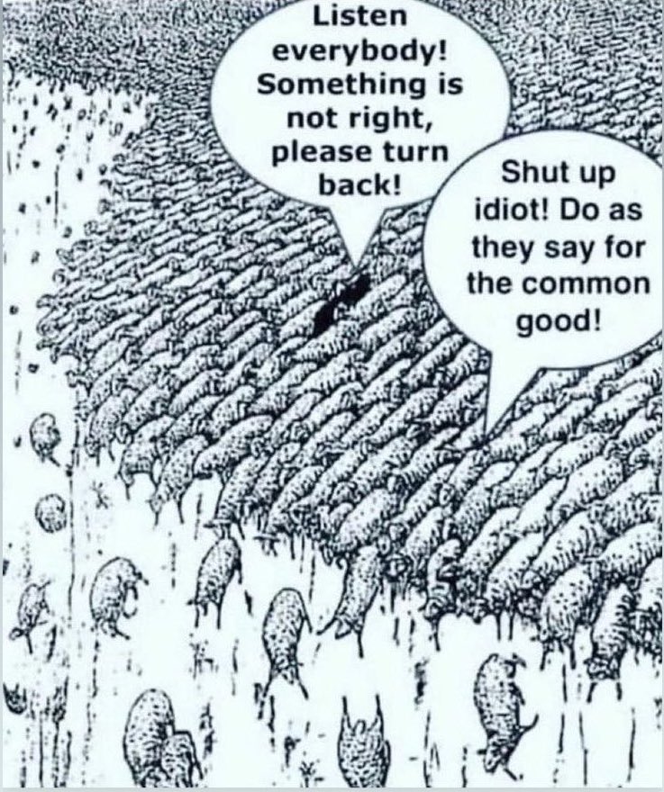Black Sheep Memes