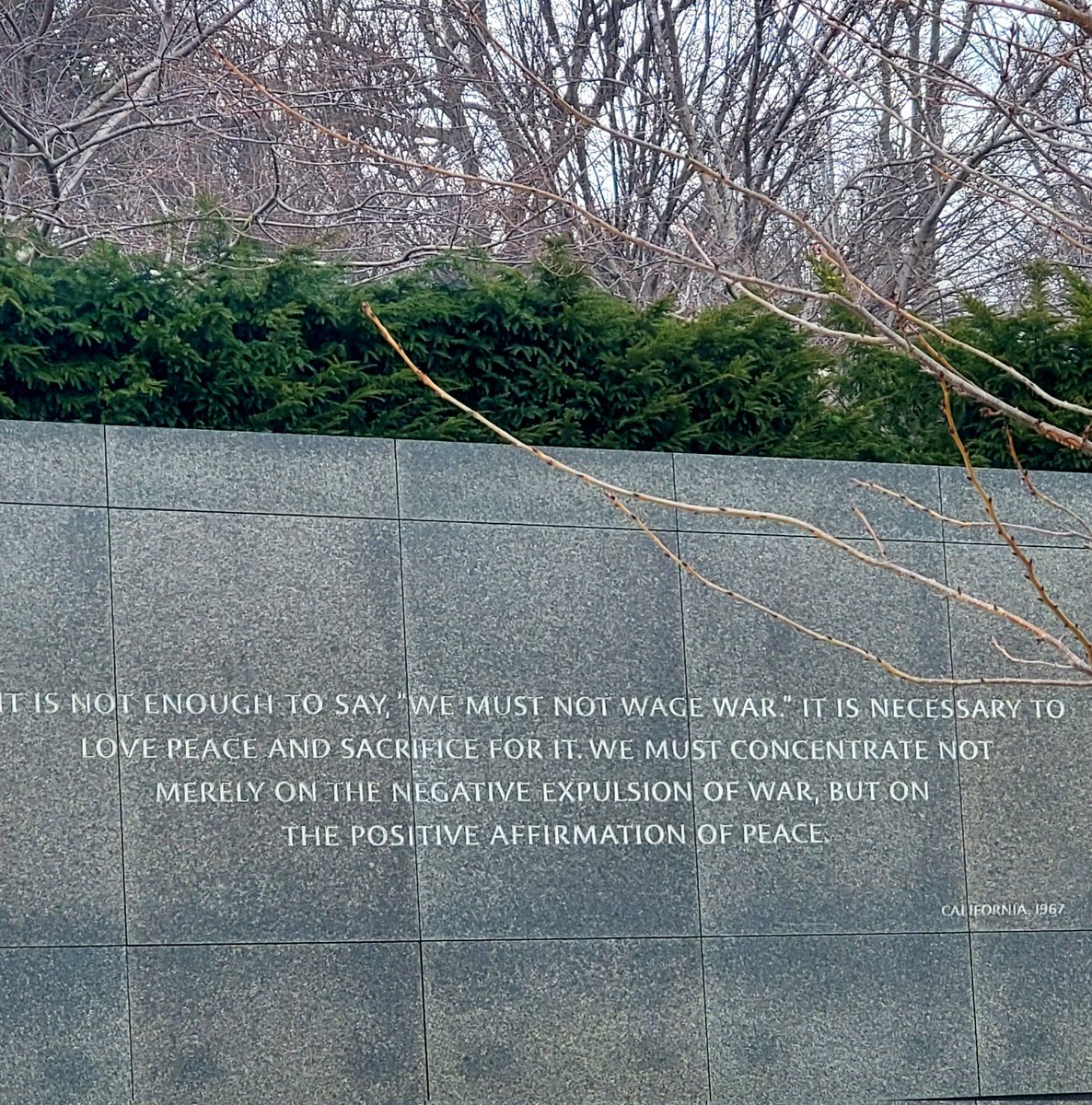 Daniel Berhane (@DanielmBerhane) | Twitter