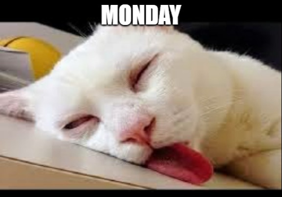 Happy Monday Cat Meme