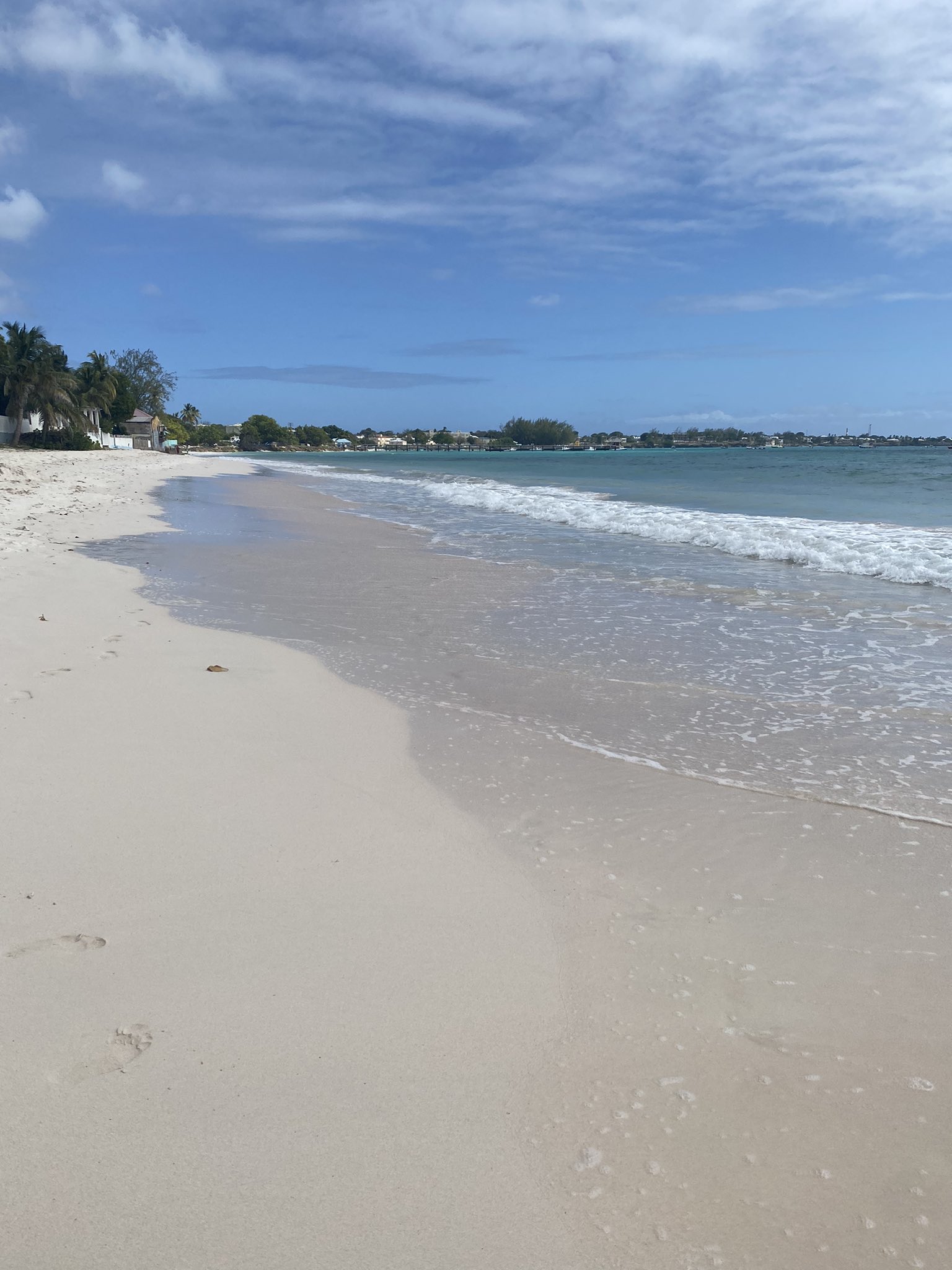 Ruby Sharma (@rubes) / Twitter