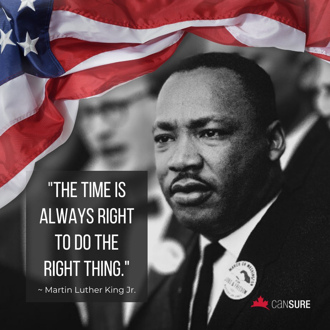 Quotes Diversity Mlk