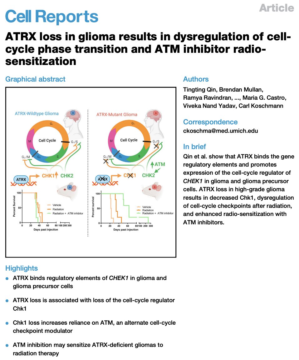 Koschmann Lab (@KoschmannLab) | Twitter