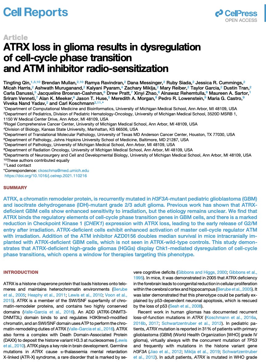 Koschmann Lab (@KoschmannLab) | Twitter