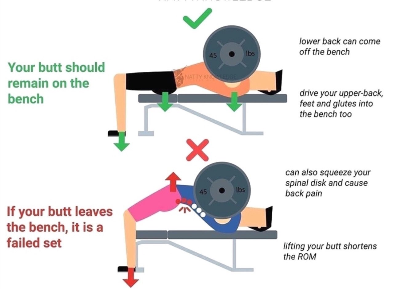 Bench Press Diagram