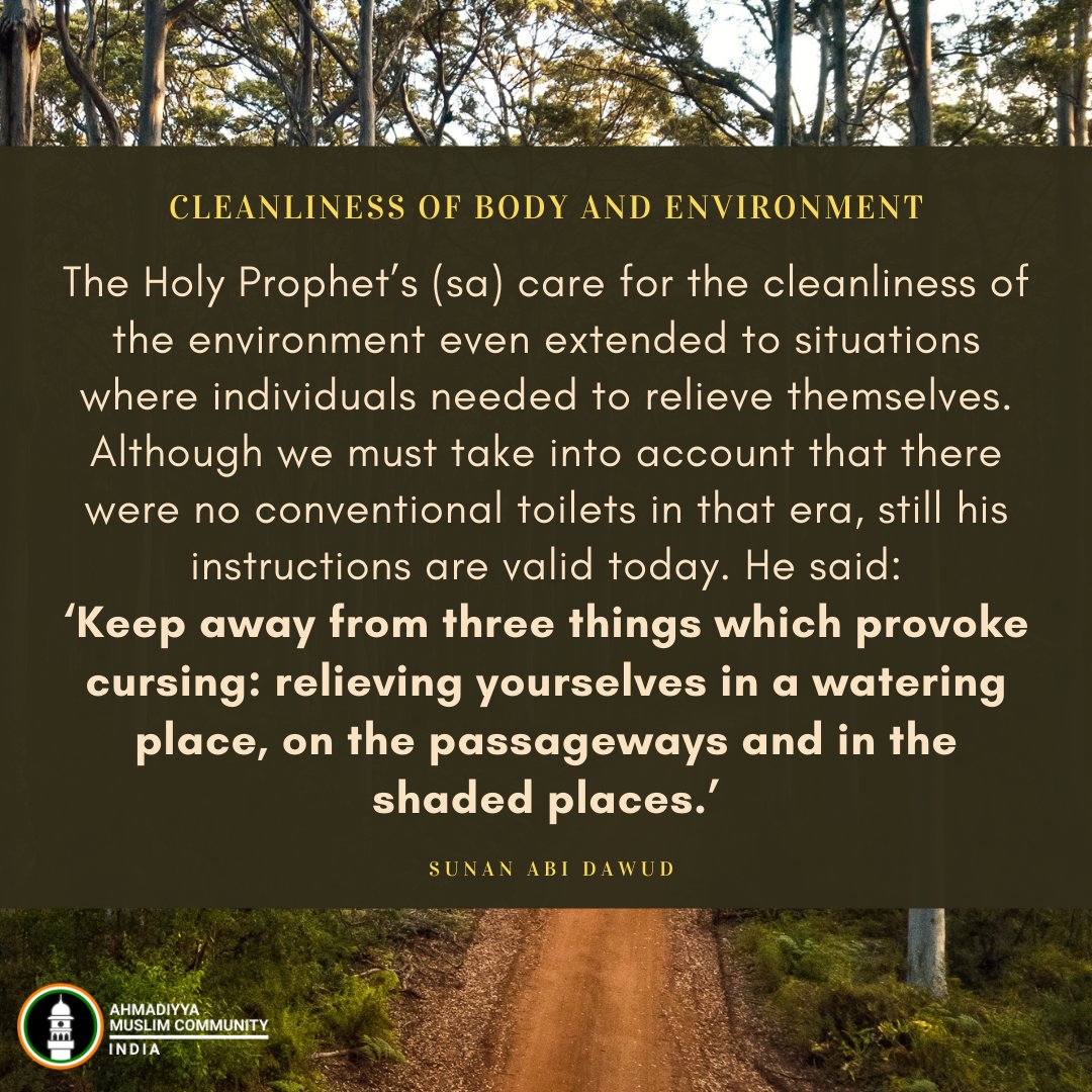 Quran Environment Quotes 🌳QURAN VERSE ABOUT NATURE🌳...