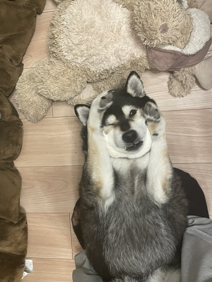 自分が可愛い自覚がある Mr.way@(4月絵仕事受付中) @waybullet