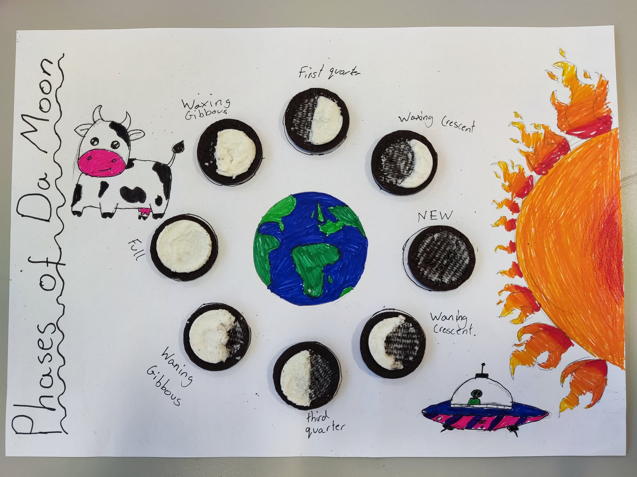 Moon Project Ideas Moon Phases Science Project