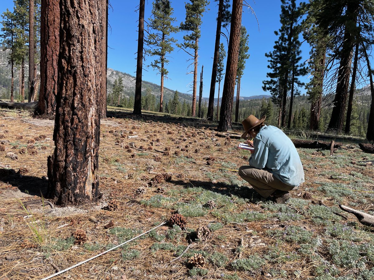 [USA--CA] Technicians and botanist in fire ecology : r/botanycareers