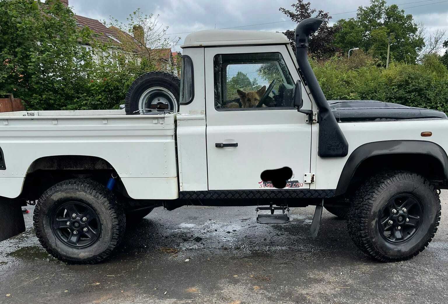 Defender 110 Pickup