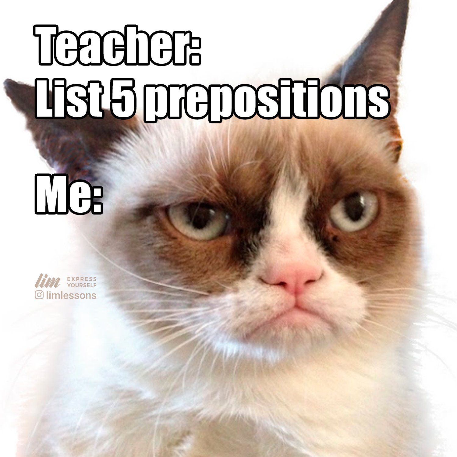 Preposition Memes Can You End A Sentence With A Preposition?
