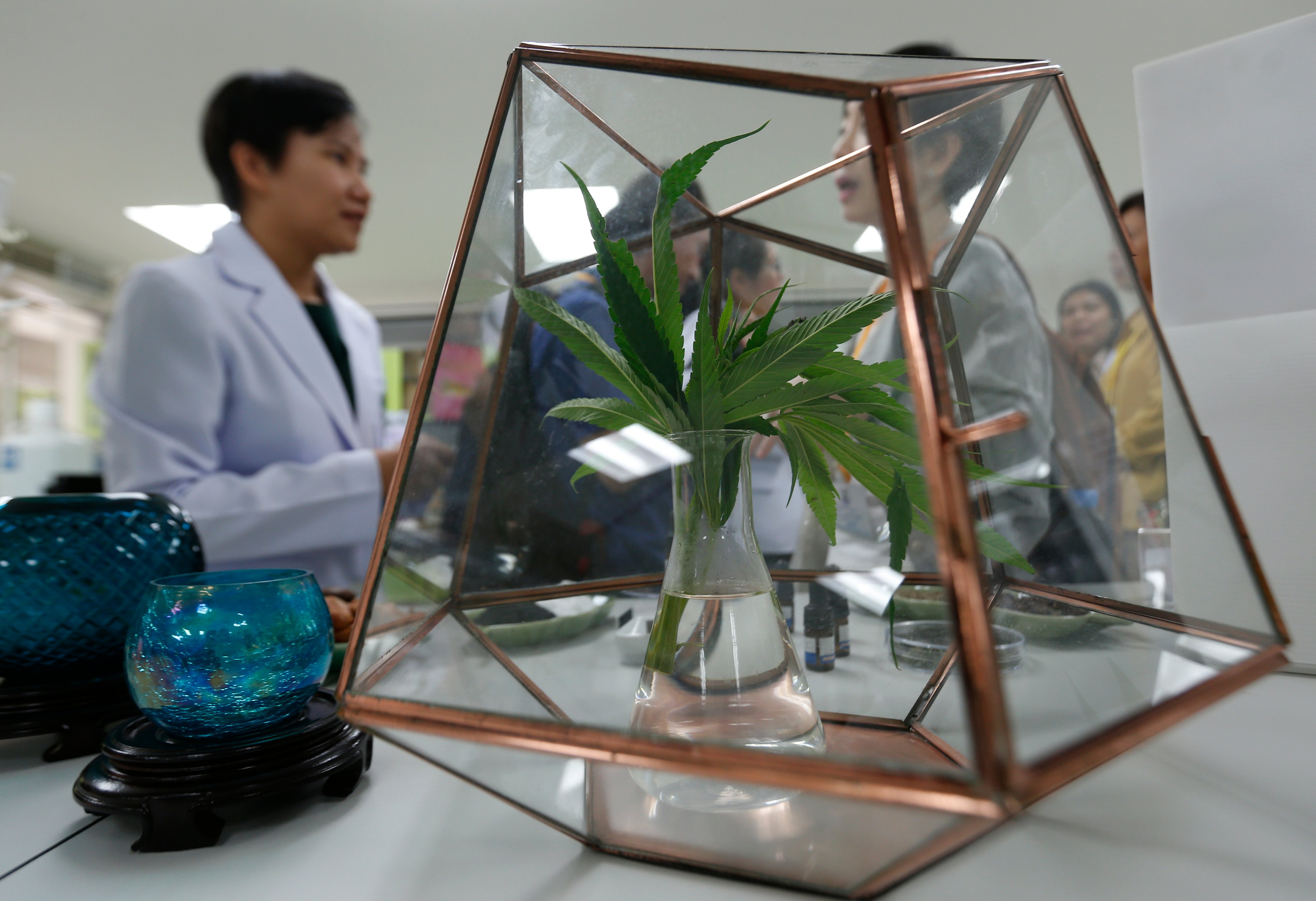 BFM News on Twitter: "1. Muar MP Syed Saddiq has reiterated his calls for Malaysia to legalise ...