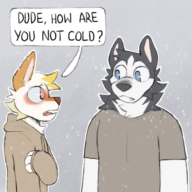 Twoucan - 𝗜𝘁’𝘀 𝗧𝗼𝗯𝘆 ! (@MeteorMutt)