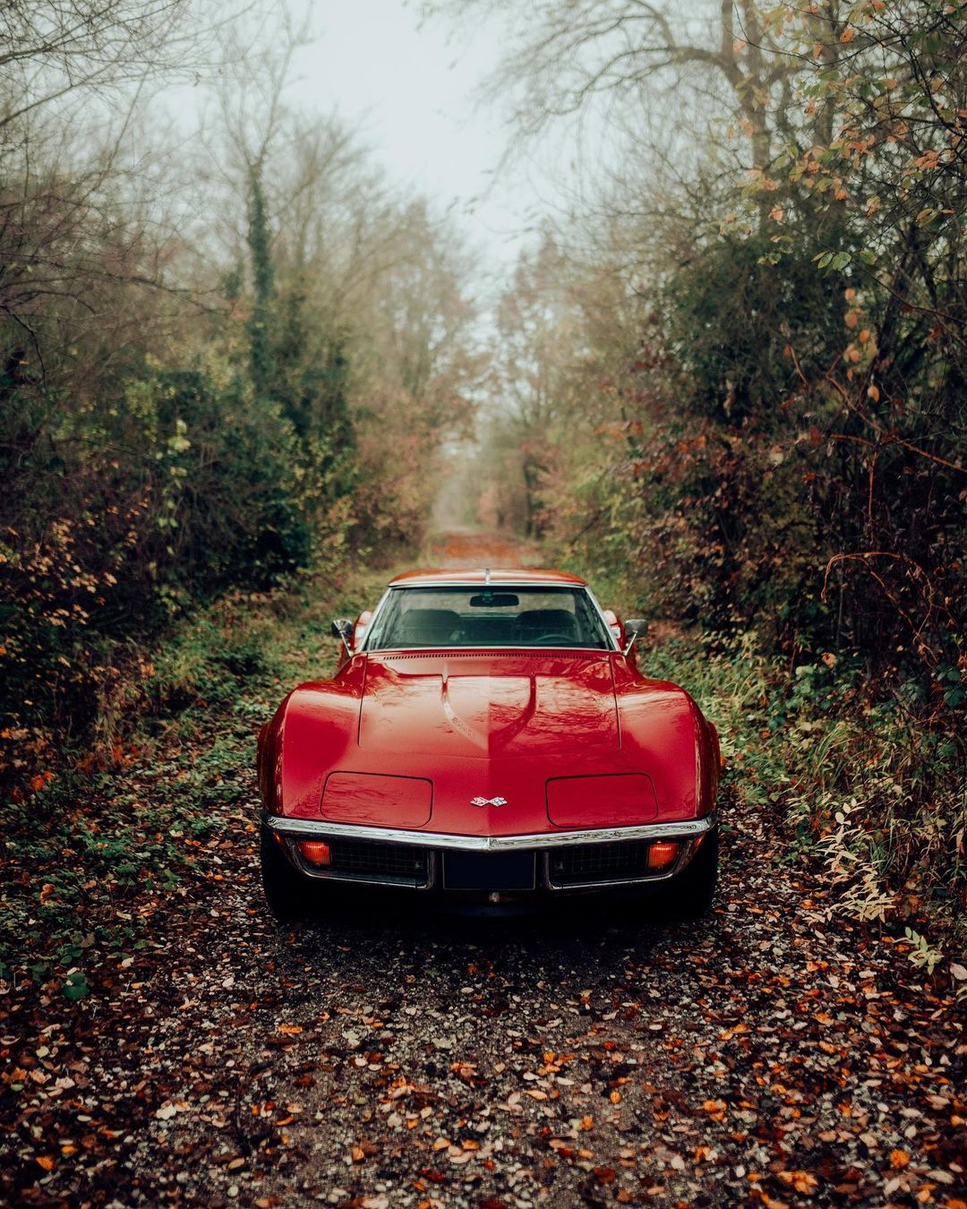 C3 Corvette Wallpaper Chevy