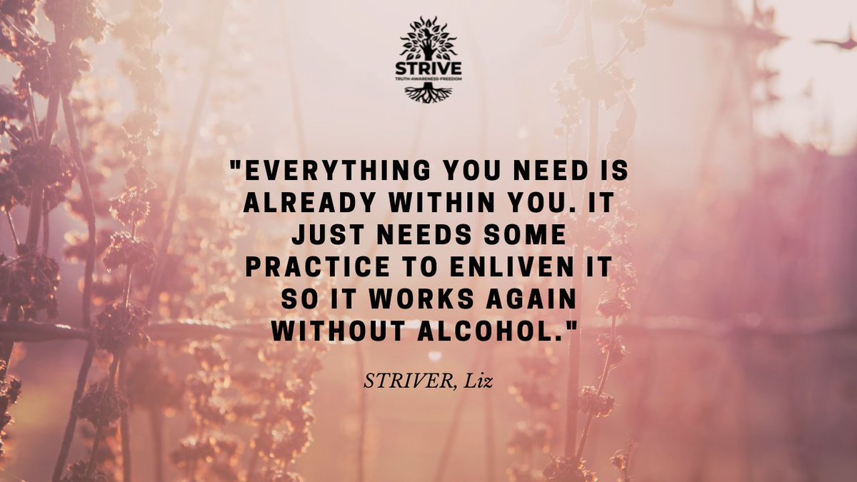 The STRIVE Method (@TheSTRIVEMethod) | Twitter