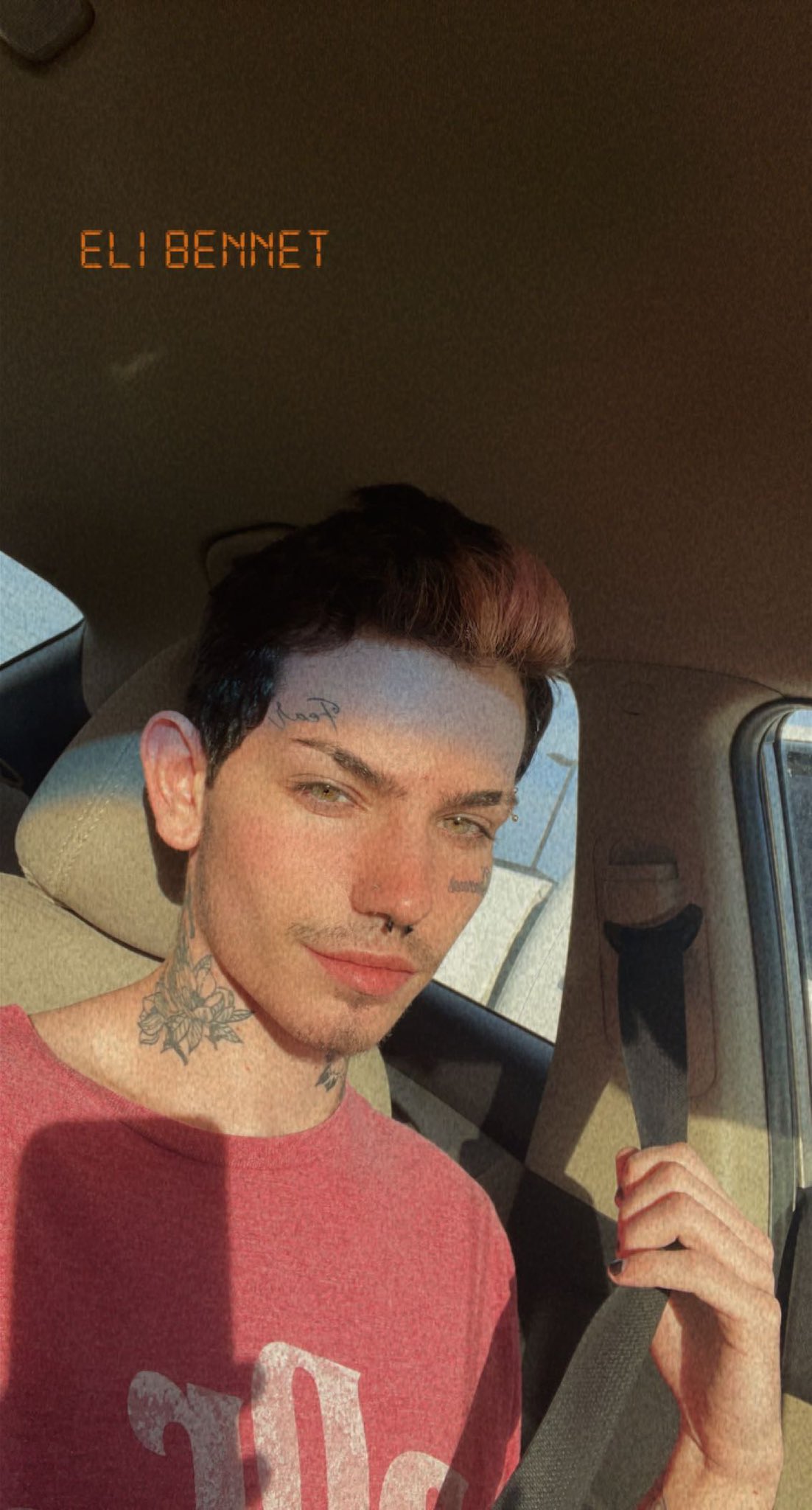 TW Pornstars - 2 pic. Eli Bennet. Twitter. It’s crazy to see how much ...