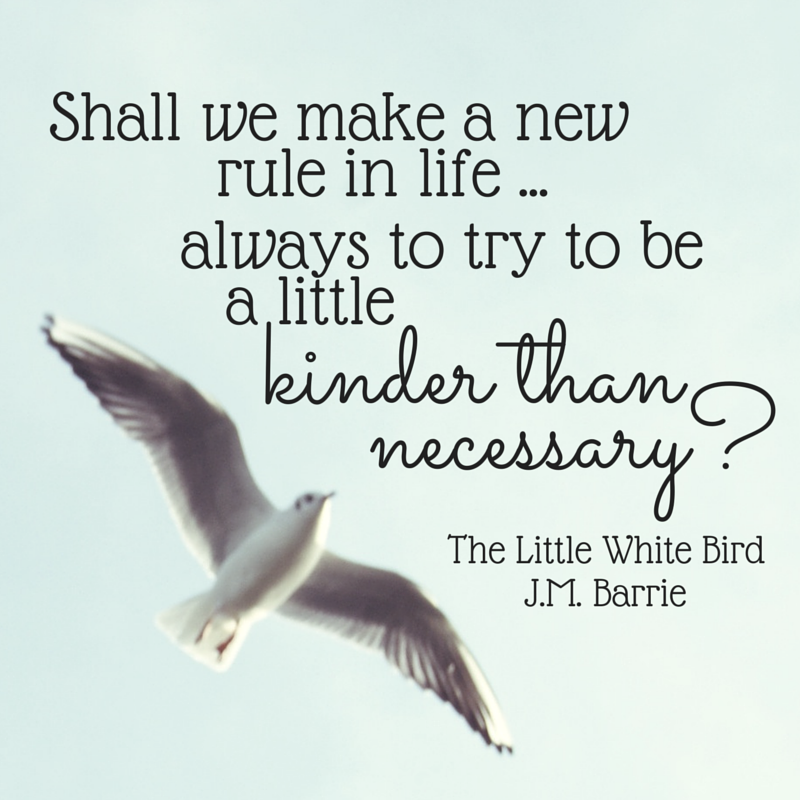 The Little White Bird